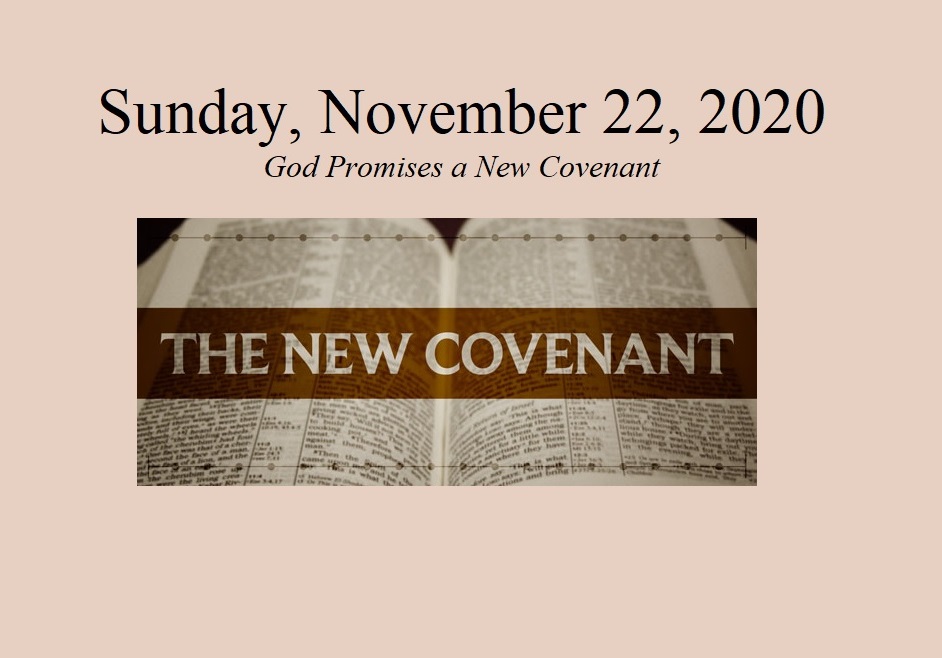 Sunday, November 22, 2020 - Bethesda Lutheran Church of Malmo, MN