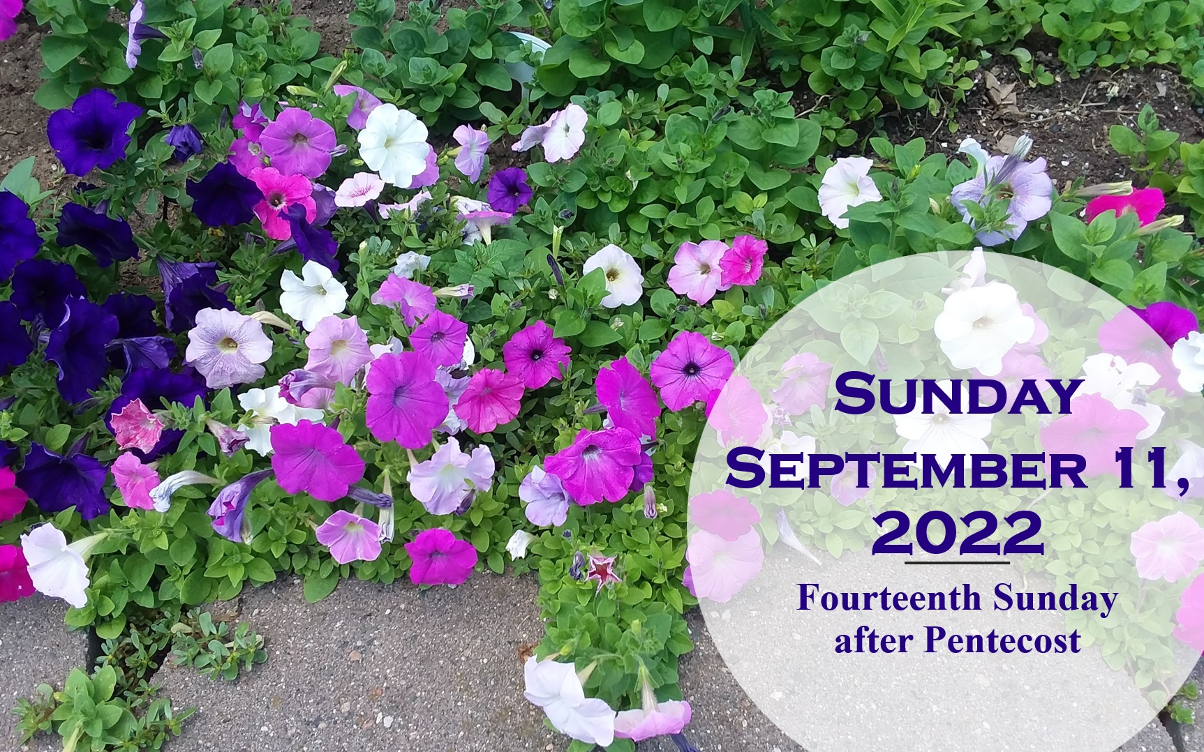 Sunday, September 11, 2022 - Bethesda Lutheran Church of Malmo, MN